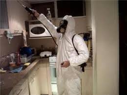 CONTROL INTEGRAL DE PLAGAS LOS MENCEYES SANIDAD AMBIENTAL ...