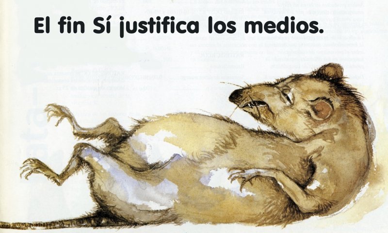 TELEINSECTOX, Control de plagas en Tenerife, Tratamientos inteligentes ...